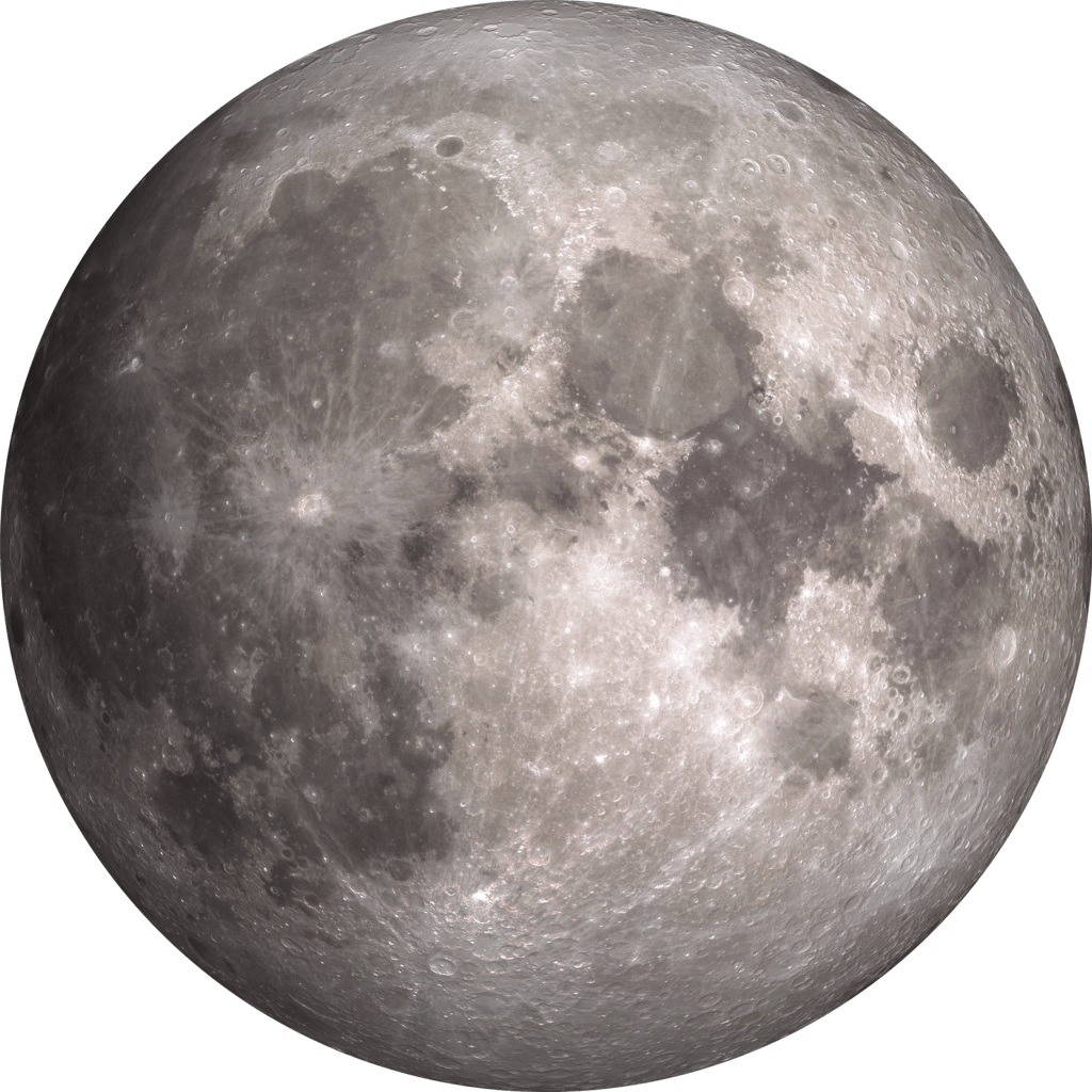 Videos - Planetary Shelter